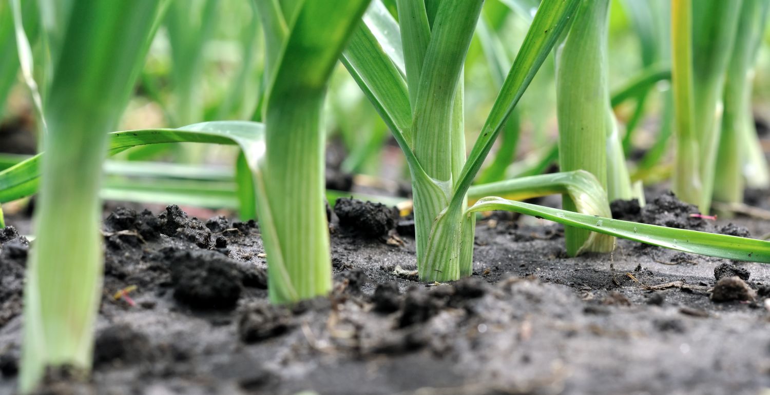 Our customers - Agrifreez